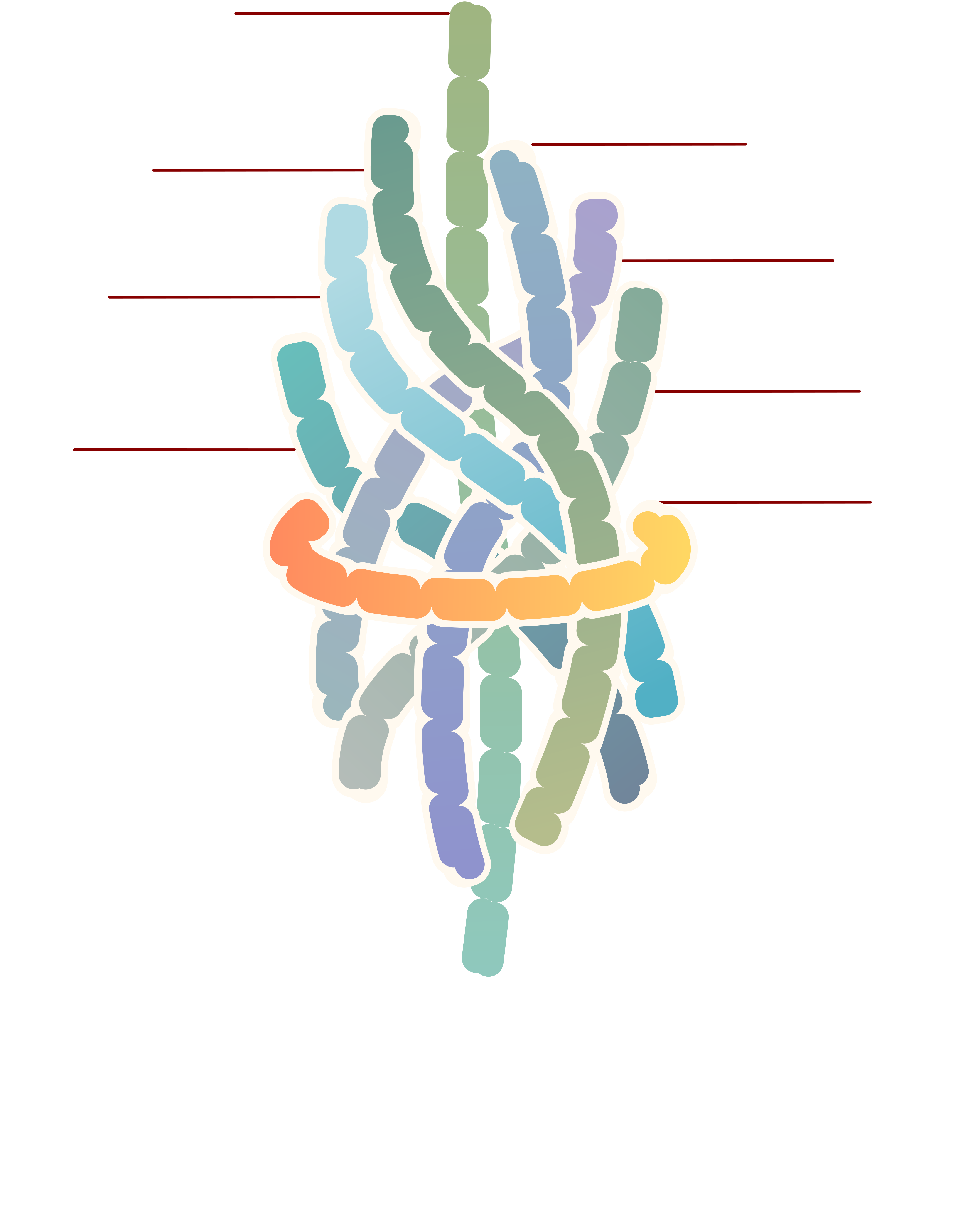 iDEC NEFU_China 2021